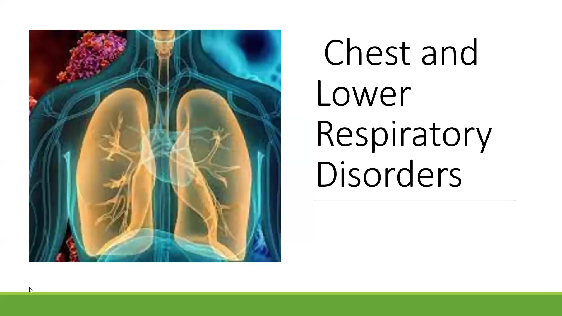 Chest and Lower Respiratory Disorders