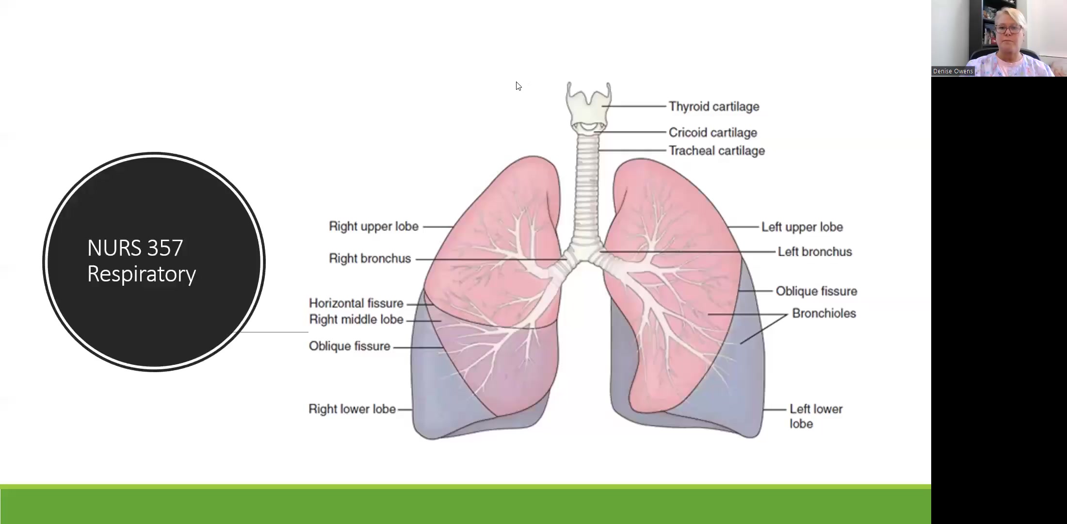Respiratory Basics and Diagnostic Tests